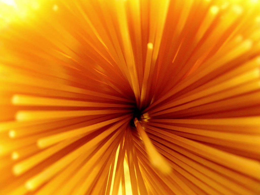 Spaghetti trees – The Generalist Academy