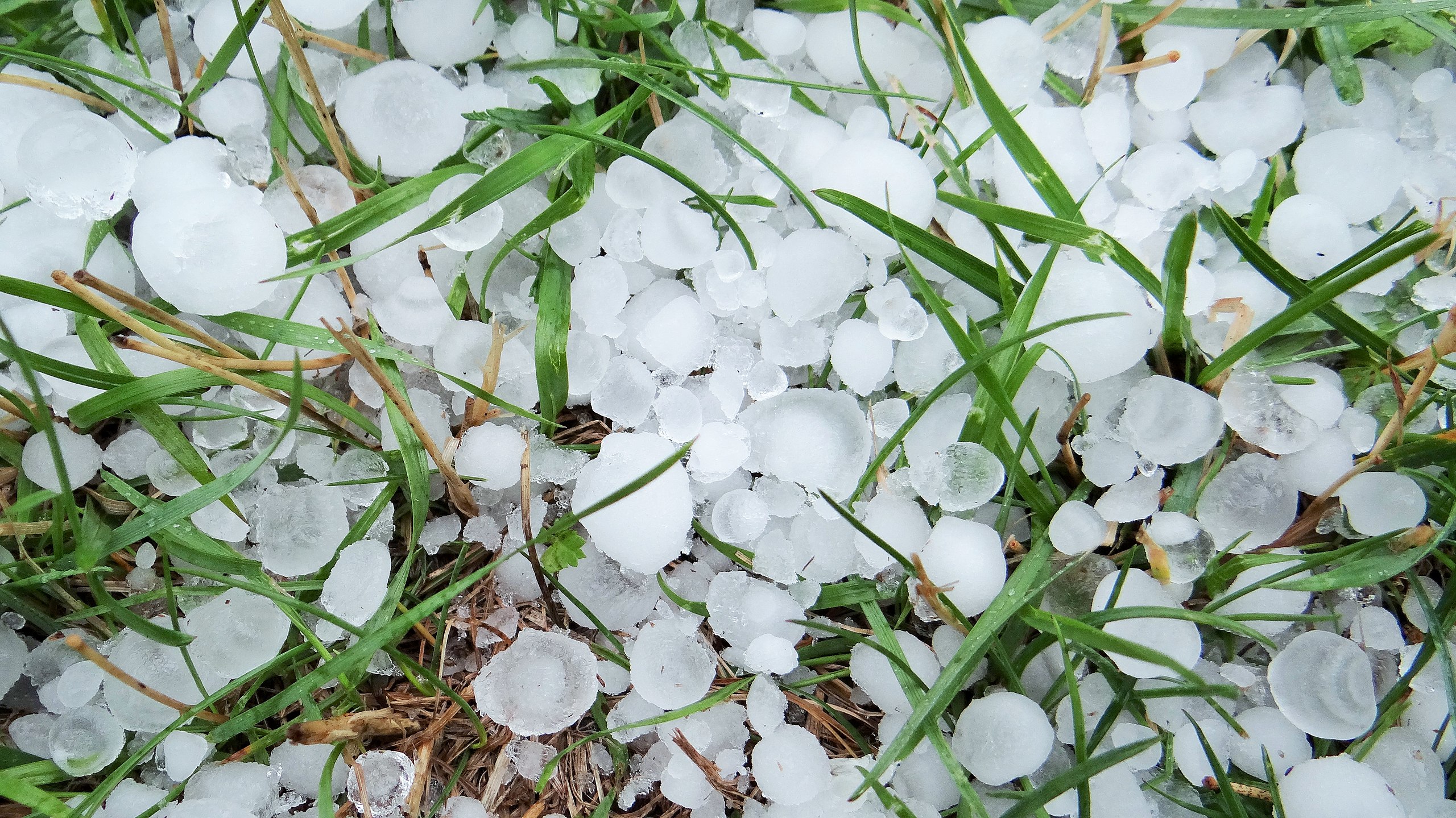 War hailstones – The Generalist Academy